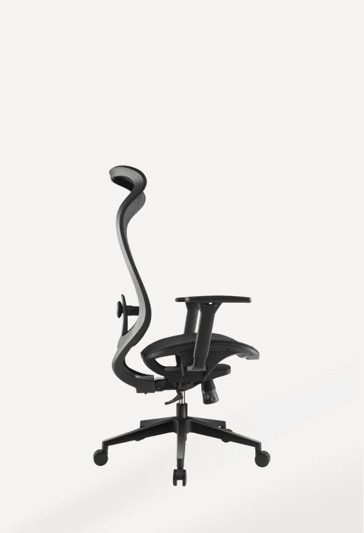 Ergonomic Chairs | Office & Desk Chairs - Ark Ergonomics PH