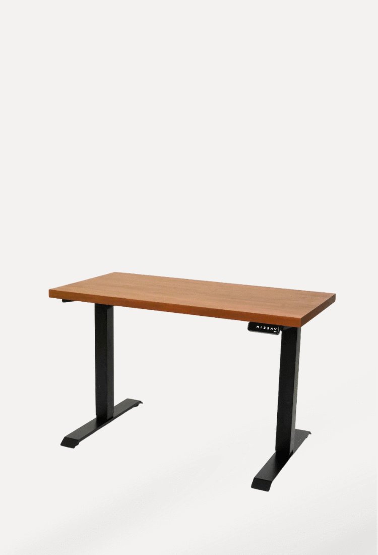 Standing Desks Philippines | Best Standing Desk for your Home Office ...