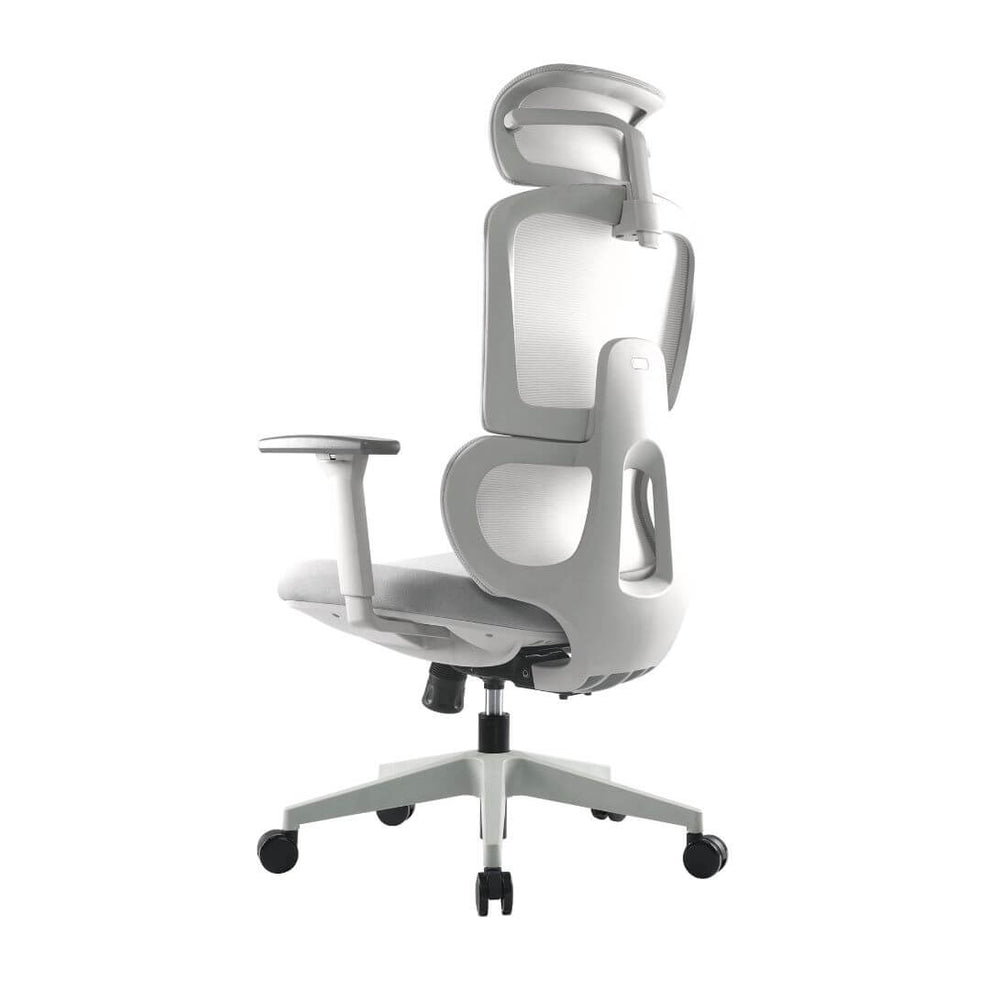 Ark ErgoWave Classic Ergonomic Office Chair | Ark Ergonomics Philippines
