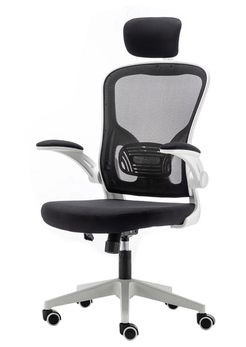 Ark Chair Classic Ergonomic Office Chair | Ark Ergonomics Philippines