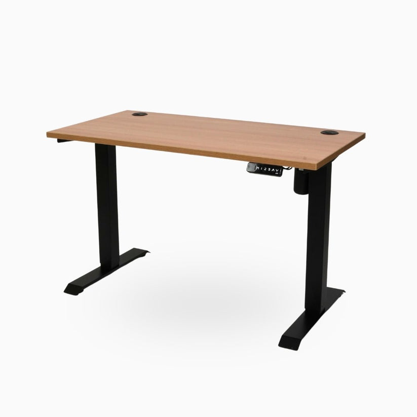 Ark Desk Classic Premium Single Motor Standing Desk | Ark Ergonomics