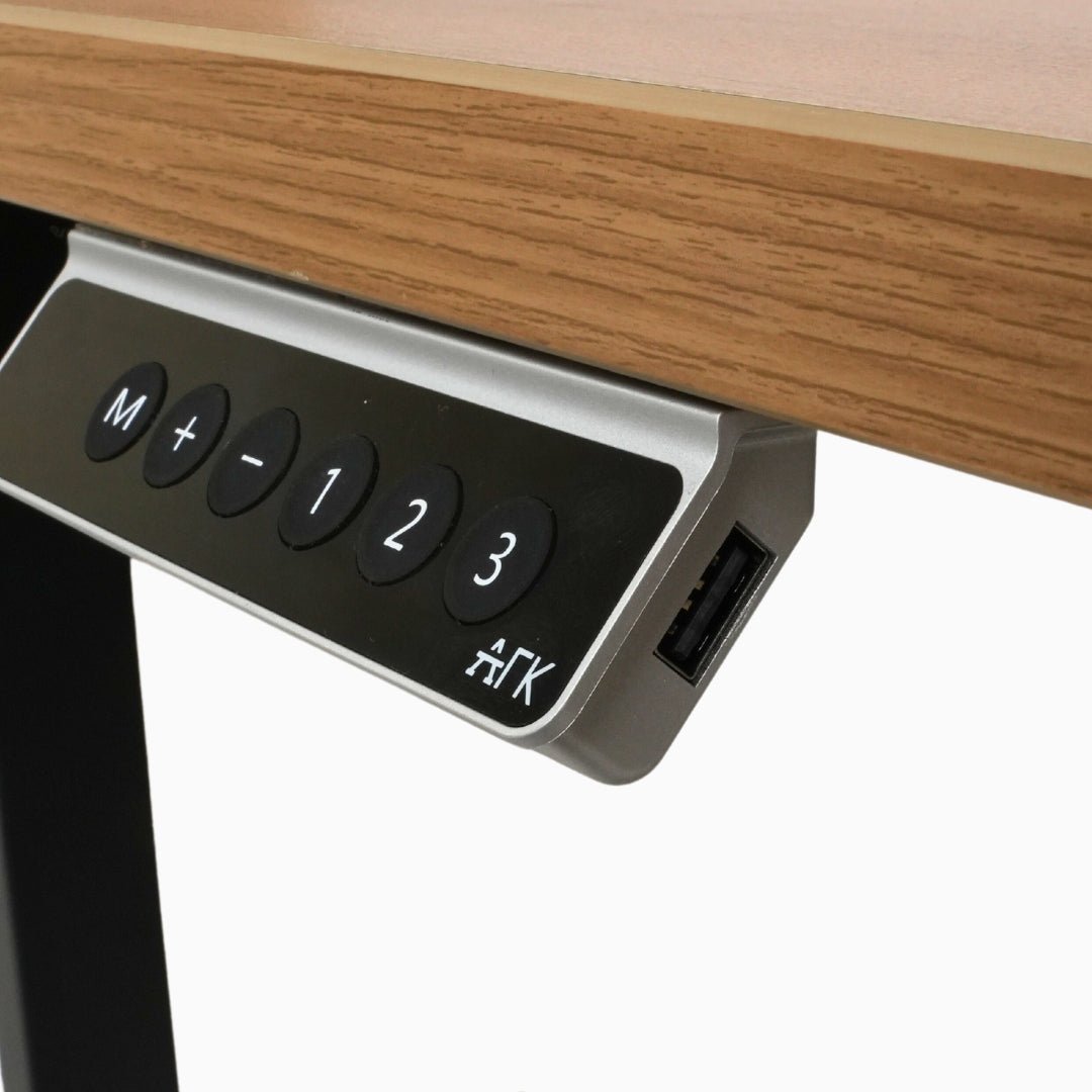 Ark Desk Lite Economic Single Motor Standing Desk | Ark Ergonomics PH