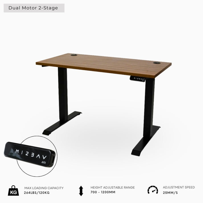 Ark Desk Pro Executive Dual Motor Standing Desk | Ark Ergonomics PH